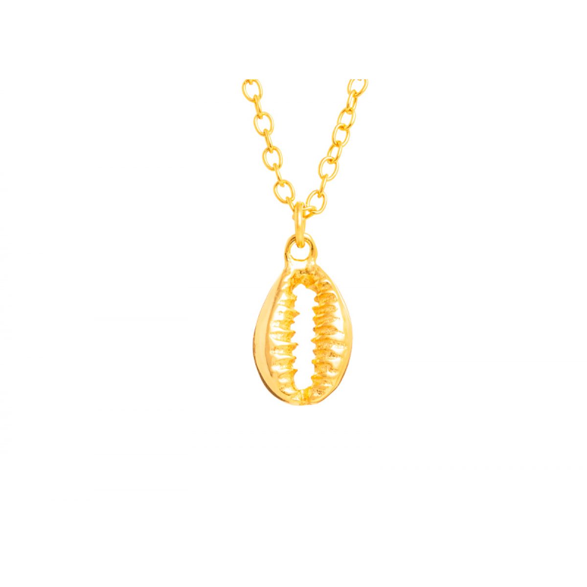 COLLAR DE PLATA CON CONCHA - 38474095_PRATA_BANHO_OURO - Stone by Stone